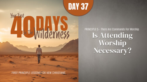 Day 37: Is Attending Worship Necessary? | Your First Forty Days in the ...