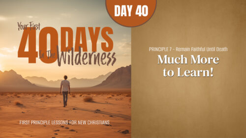 Day 40: Much More to Learn! | Your First Forty Days in the Wilderness ...