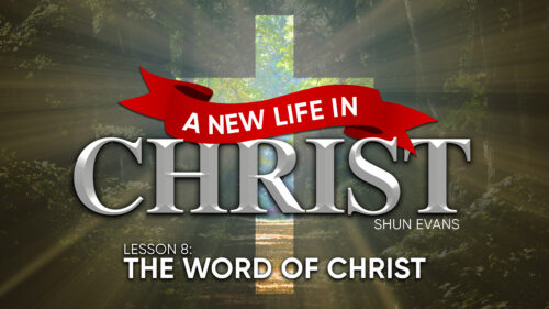 Lesson 8: The Word of Christ | A New Life in Christ | WVBS Online Video