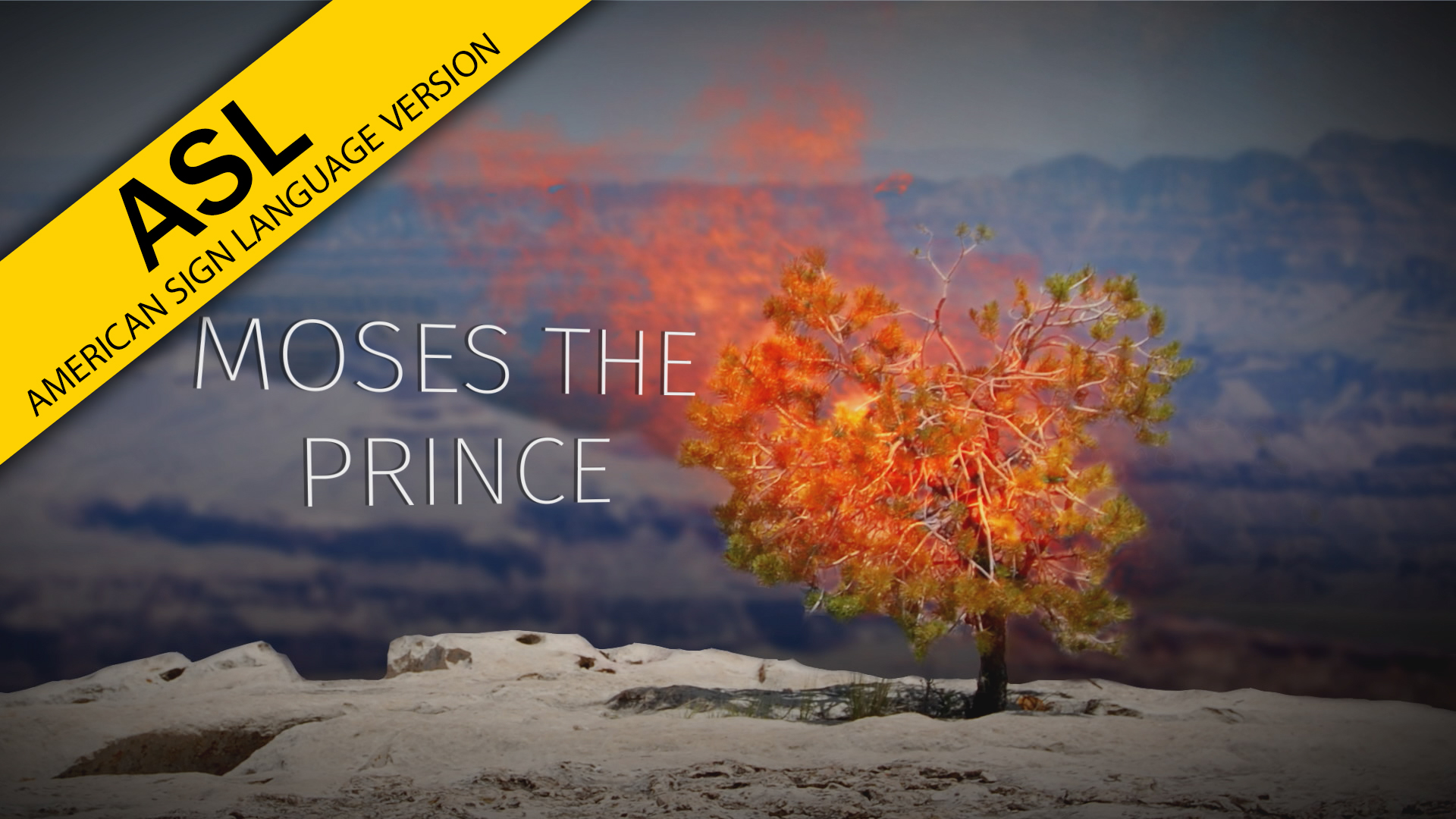 Part 1: Moses the Prince | The Story of Moses | WVBS Online Video