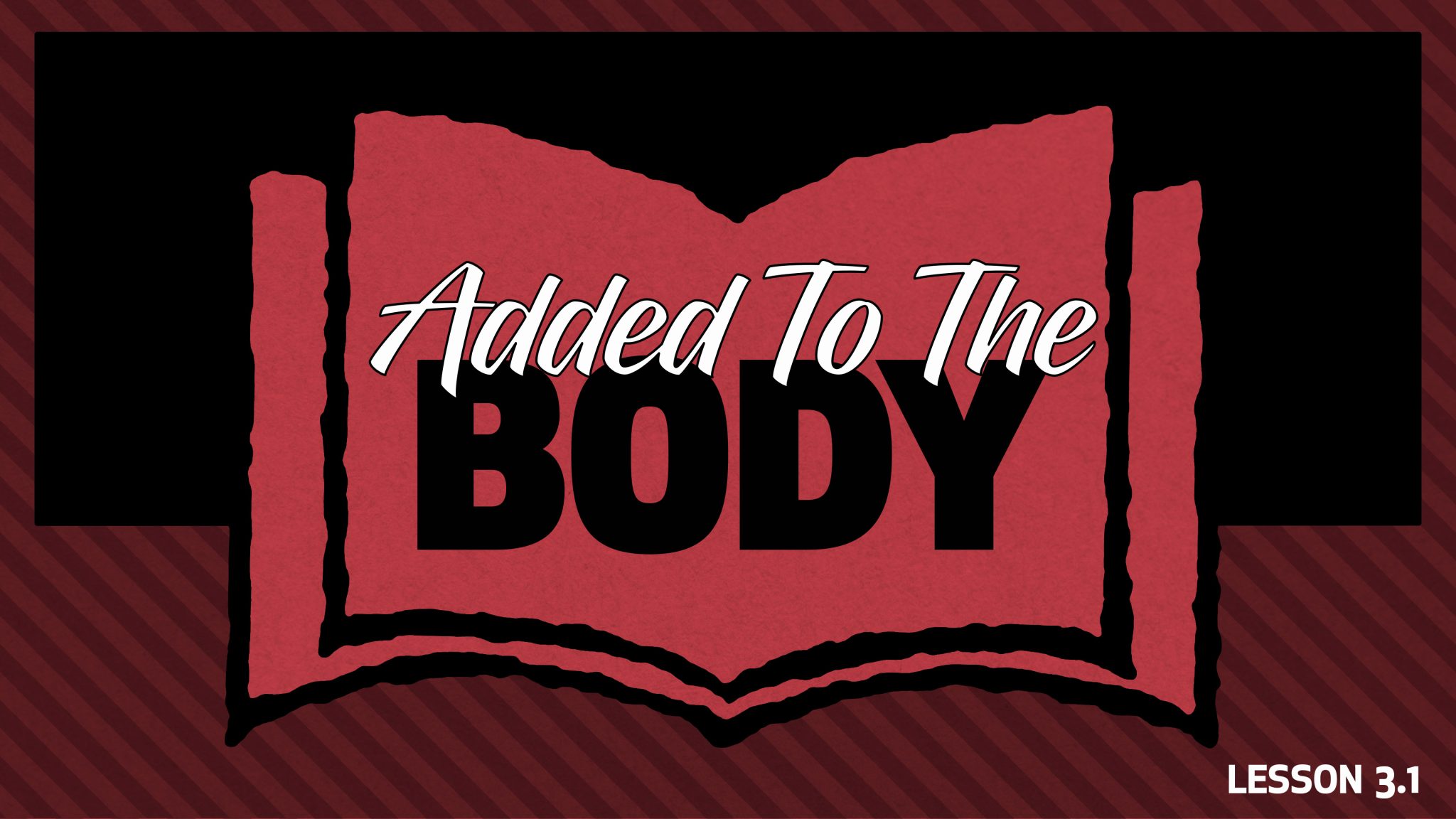Back to the Bible | WVBS Online Video
