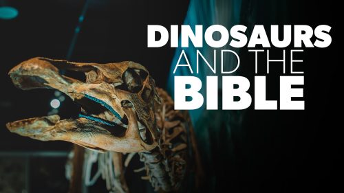 Dinosaurs and the Bible | WVBS Online Video