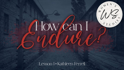 How Can I Endure? Lesson 1 | WVBS Online Video