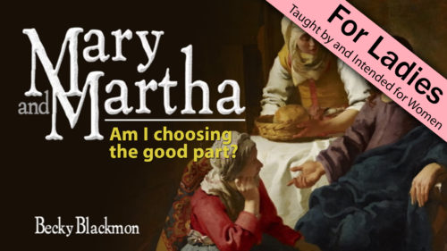 2. Am I Choosing the Good Part? | Mary and Martha | WVBS Online Video