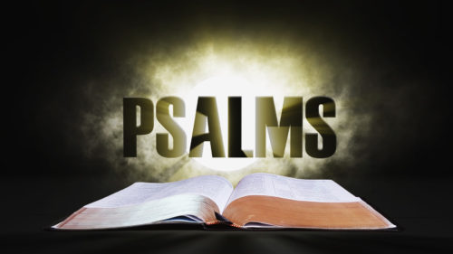 14. Psalms | Spotlight on the Word: Old Testament | WVBS Online Video
