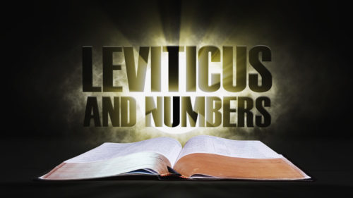 5. Leviticus and Numbers | Spotlight on the Word: Old Testament | WVBS ...