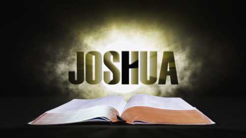 7. Joshua | Spotlight on the Word: Old Testament | WVBS Online Video
