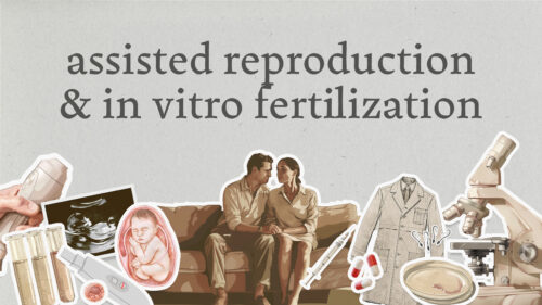4. Assisted Reproduction & In Vitro Fertilization | The Value of Human ...