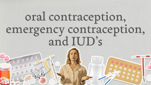 3. Contraception and IUDs | The Value of Human Life | WVBS Online Video