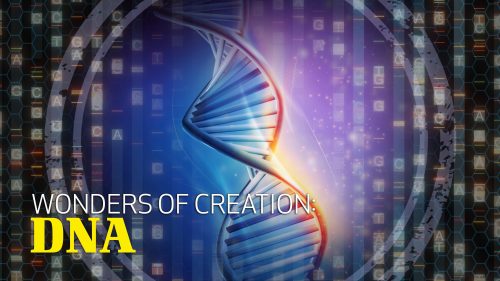 Wonders of Creation: DNA | WVBS Online Video