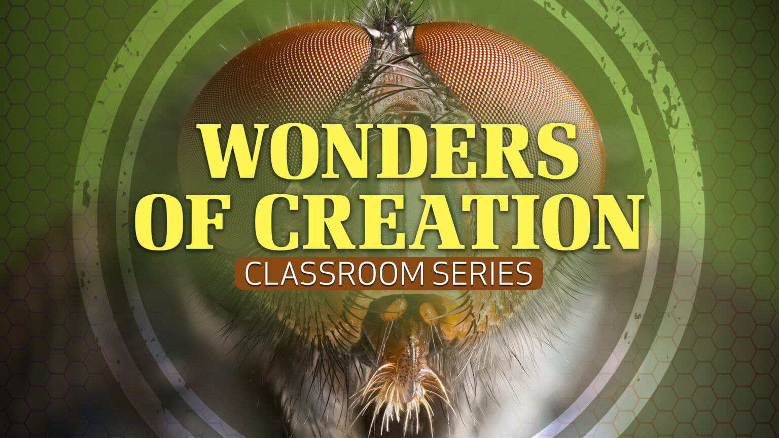 Wonders of Creation | WVBS Online Video